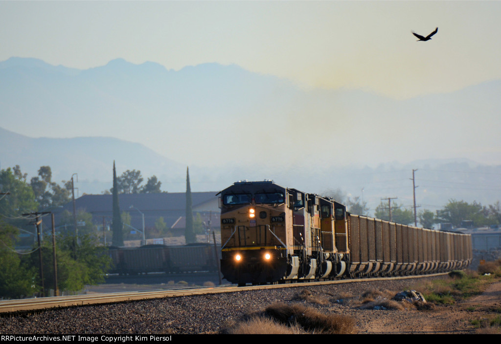 UP 6776 Coal Loads (with bird)